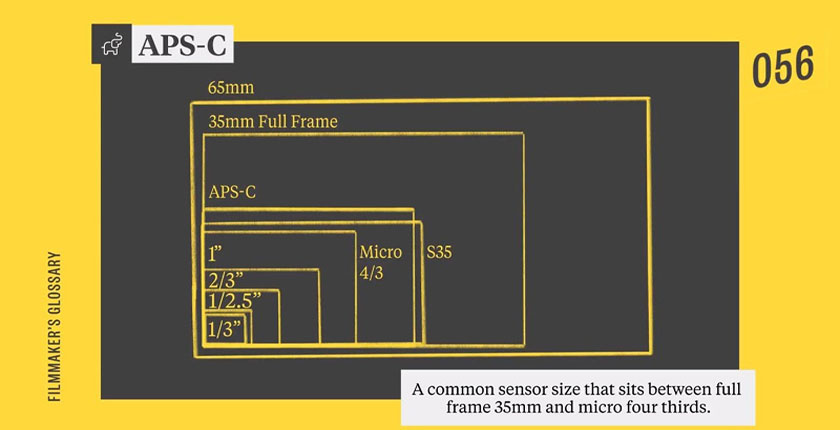 Cảm biến APS-C là gì ? Những máy ảnh Sony dùng cảm biến APS-C